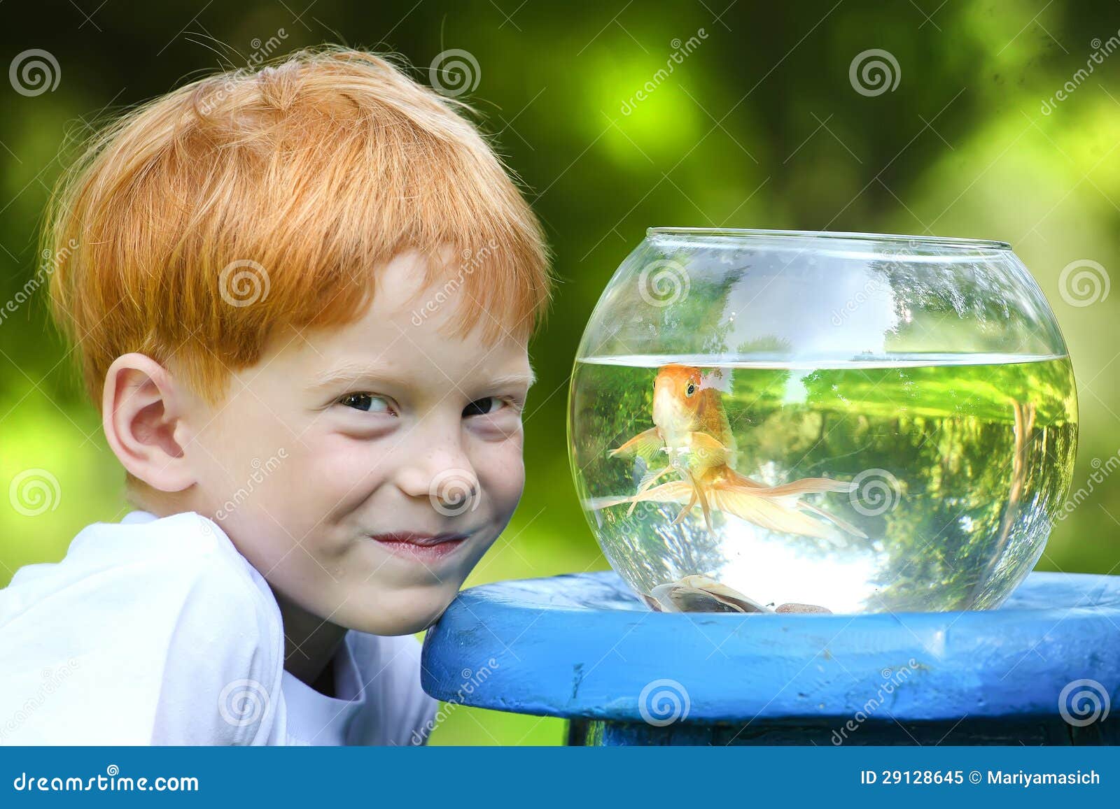 Boy with fish stock image. Image of autumn, family, spring - 29128645