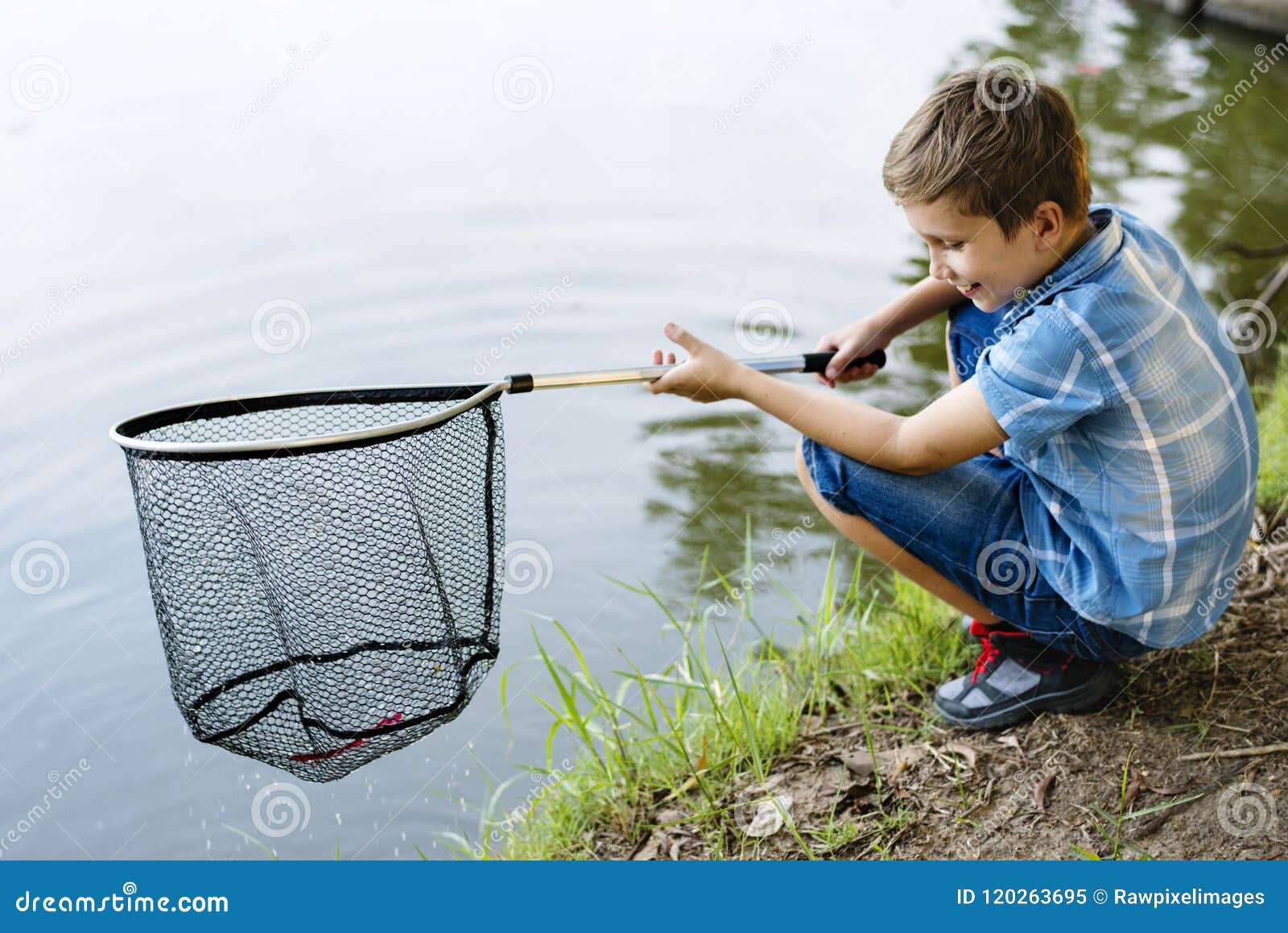 Boy fishing with a net stock image. Image of catching - 120263695