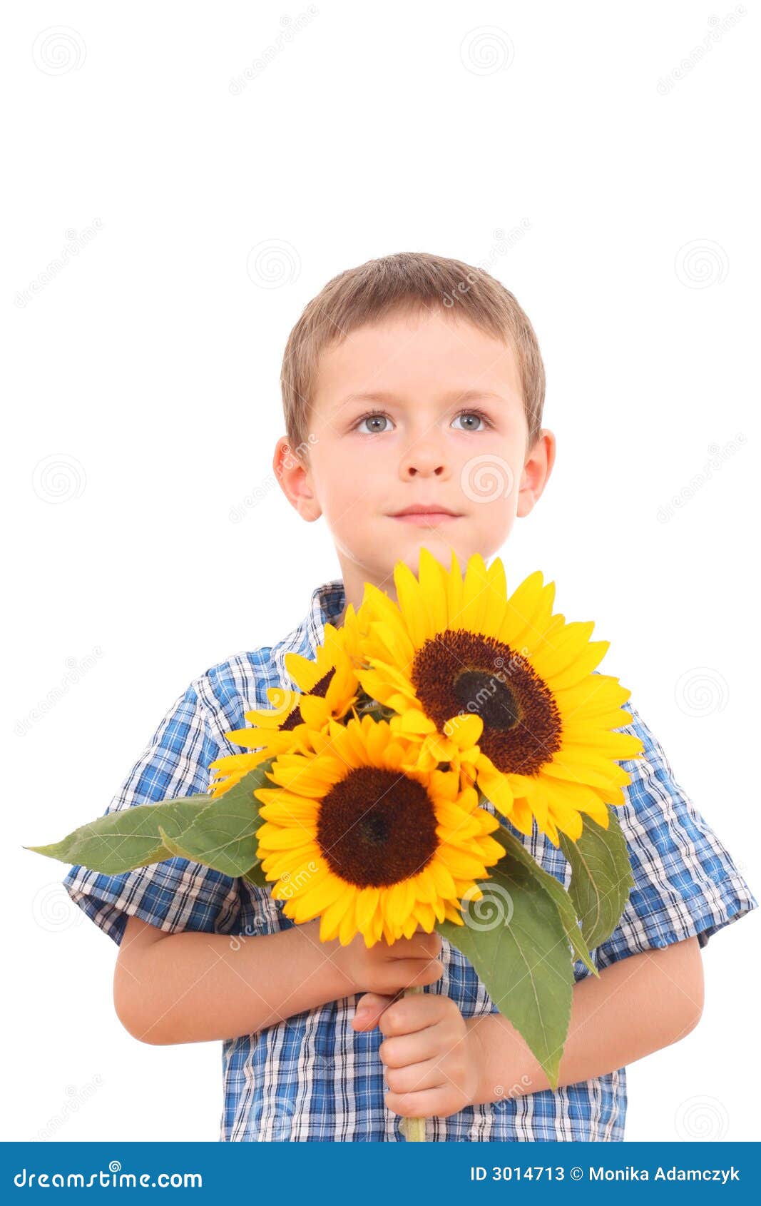 Boy with flowers stock image. Image of smile, childhood - 3014713