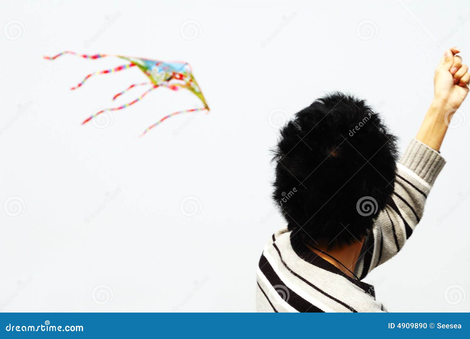 Boy fly a kite stock photo. Image of holiday, freedom - 4909890