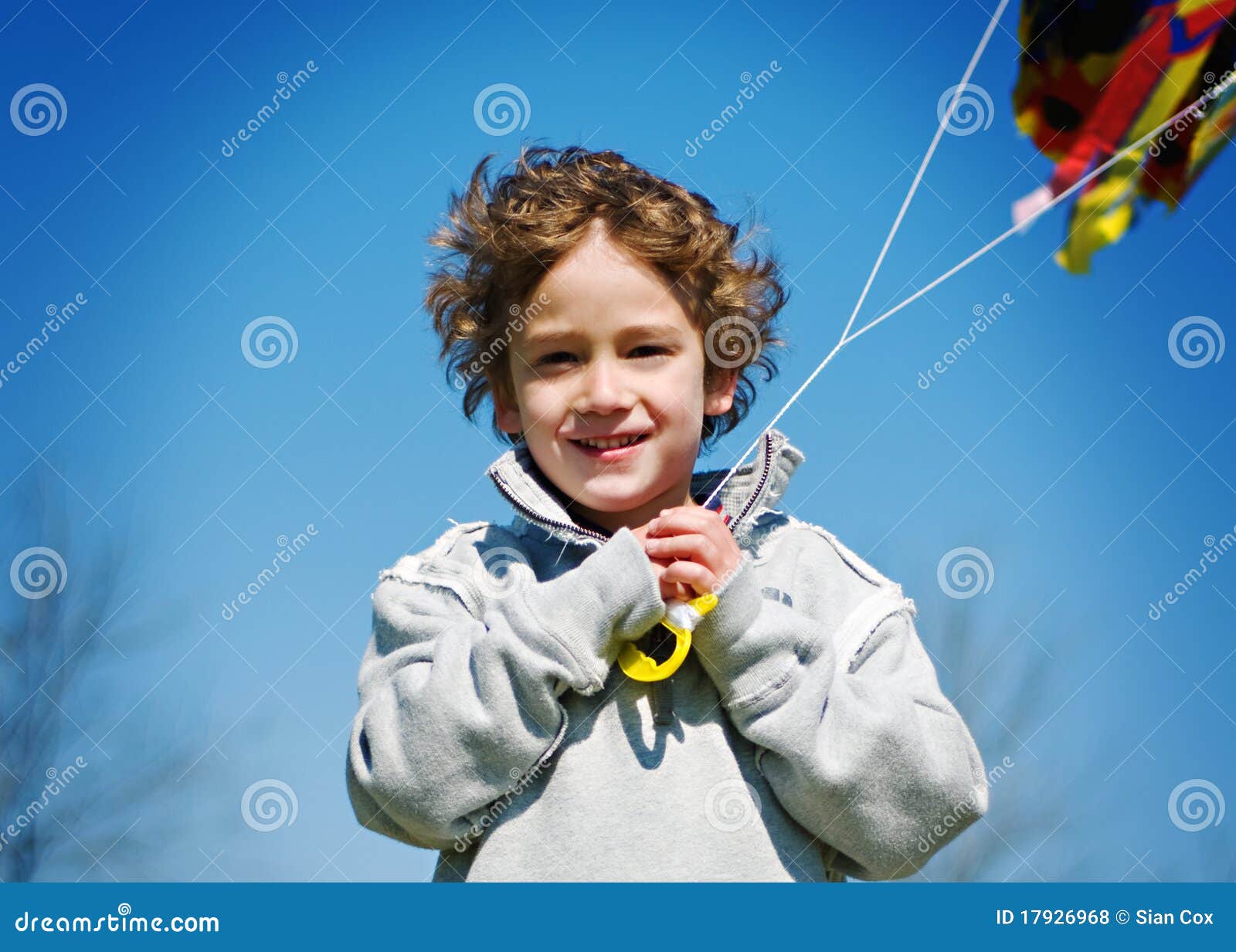 Boy flying a kite stock photo. Image of play, happy, smile - 17926968