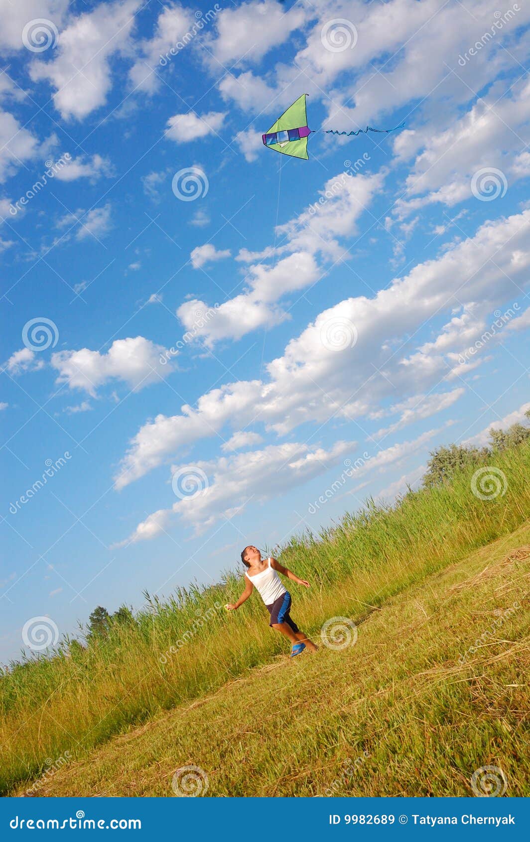 Boy flying a kite stock image. Image of colors, child - 9982689