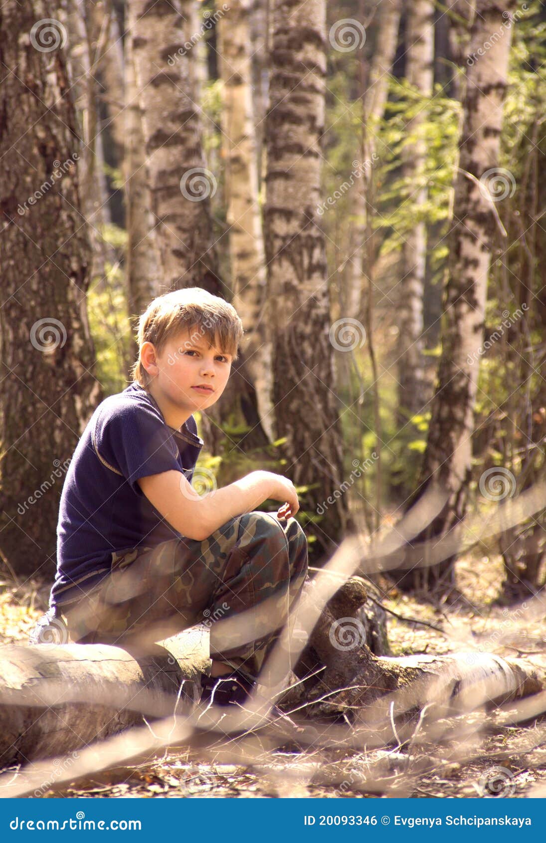 A boy in the forest stock photo. Image of child, blond - 20093346