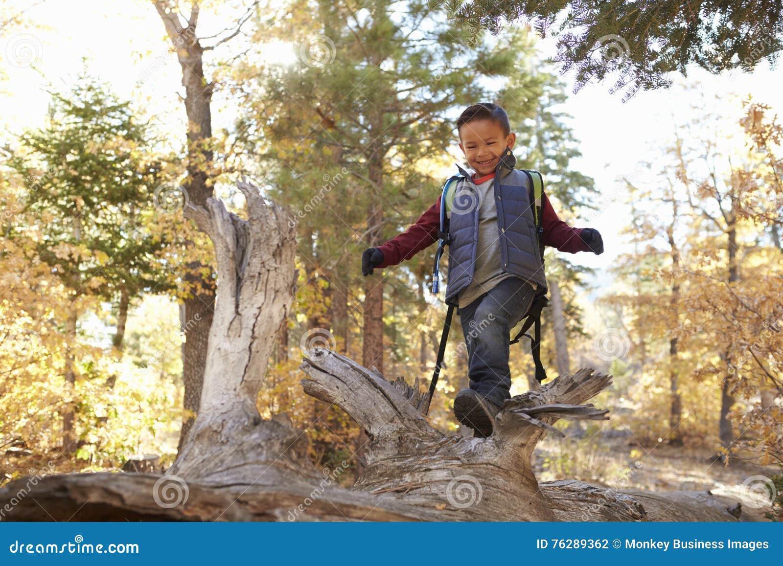 Boy in a Forest Looking Down As he Walks Along a Fallen Tree Stock ...