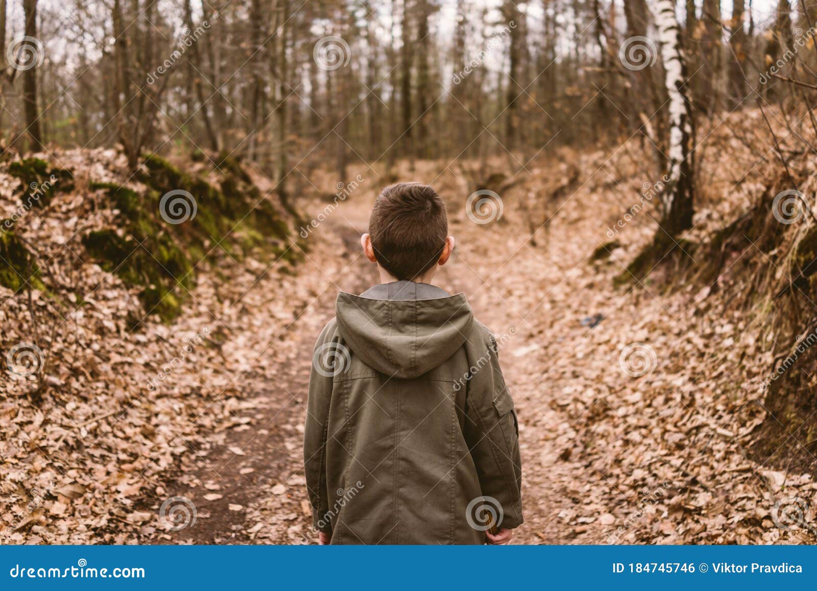 Boy in forest stock photo. Image of back, lost, outdoor - 184745746