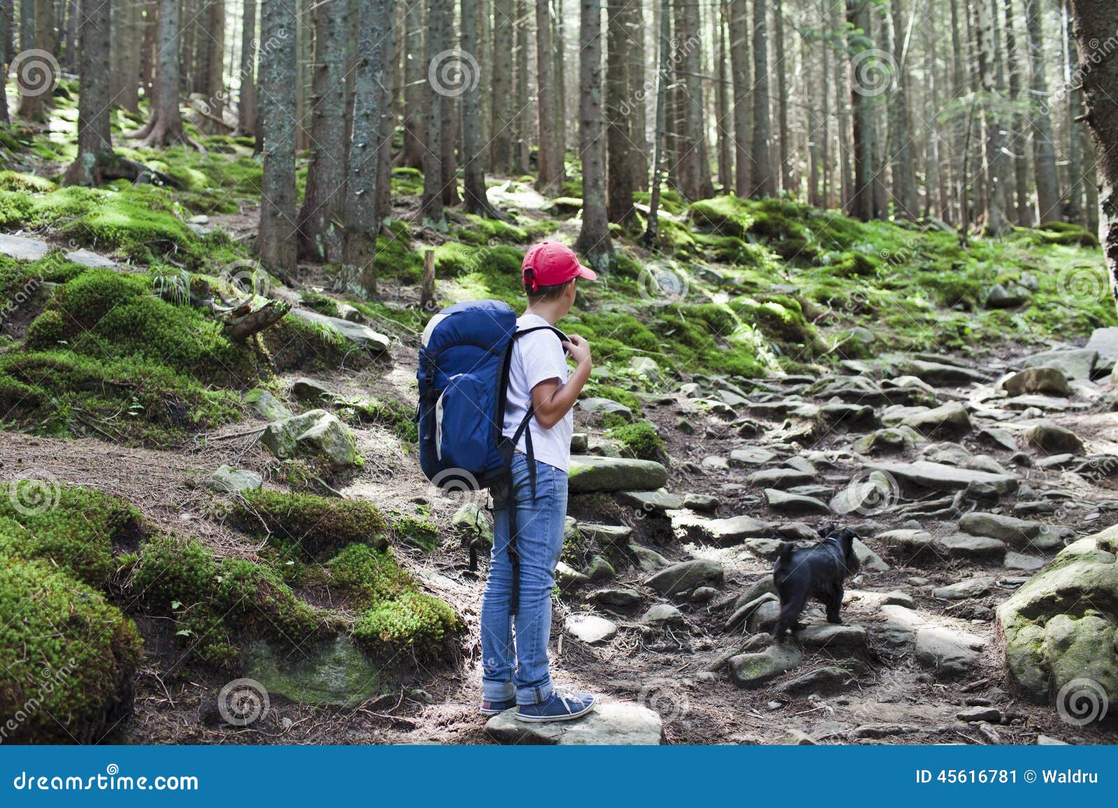 Boy in forest stock image. Image of beauty, hiking, outdoors - 45616781