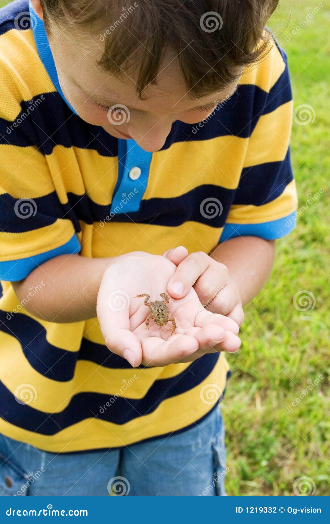 Boy with a frog stock photo. Image of school, toad, happy - 1219332