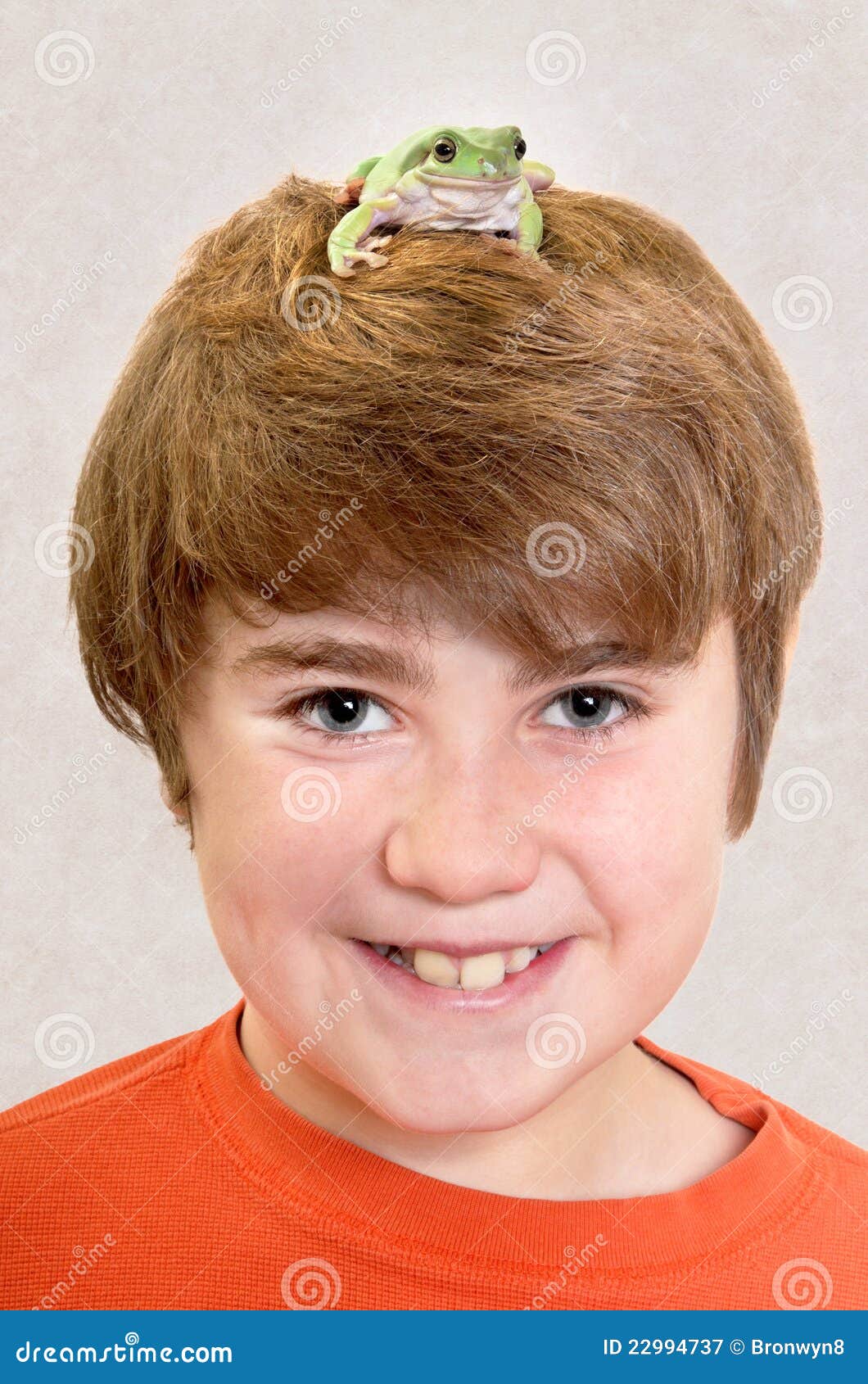 Boy and Frog stock image. Image of child, long, people - 22994737