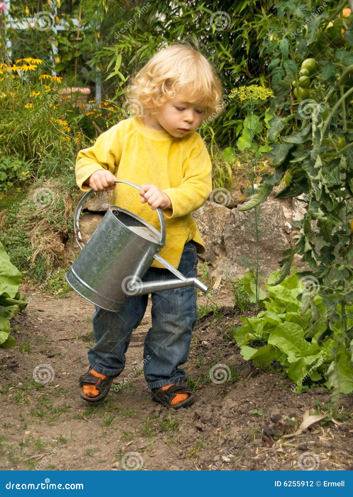 Boy in the garden stock photo. Image of people, worker - 6255912