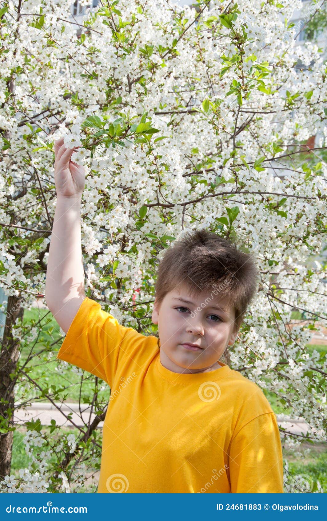 Boy in the Garden in Spring Stock Image - Image of single, sunny: 24681883