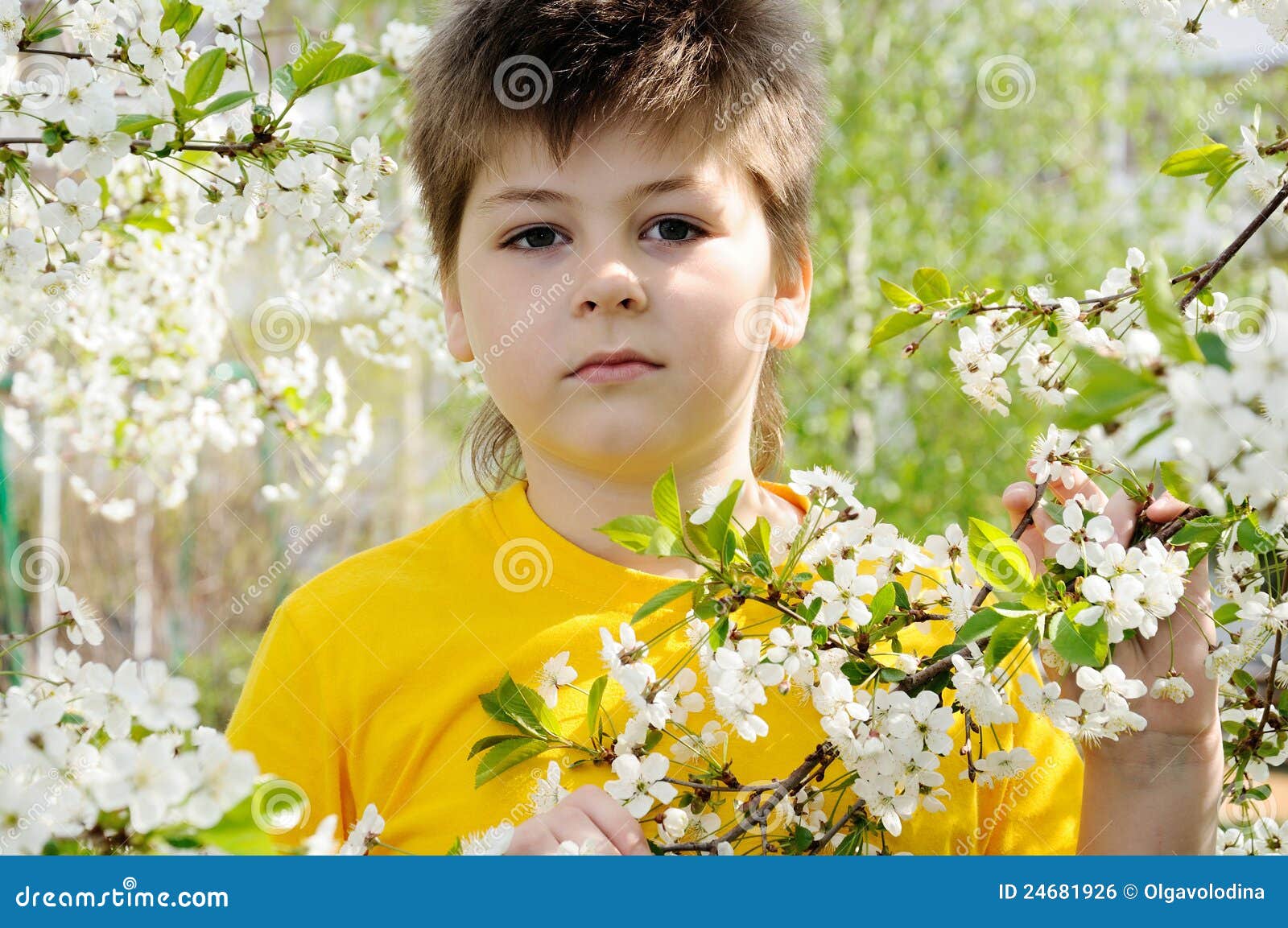Boy in the Garden in Spring Stock Photo - Image of blossoming, branch ...