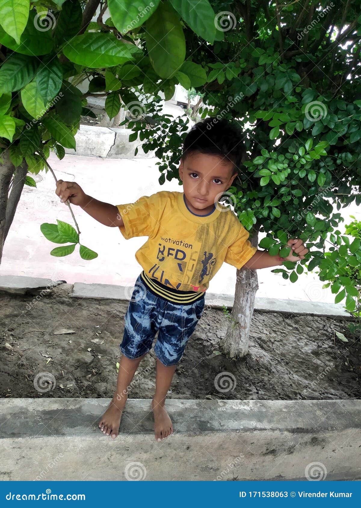Boy in a Garden with Tree stock image. Image of beautiful - 171538063