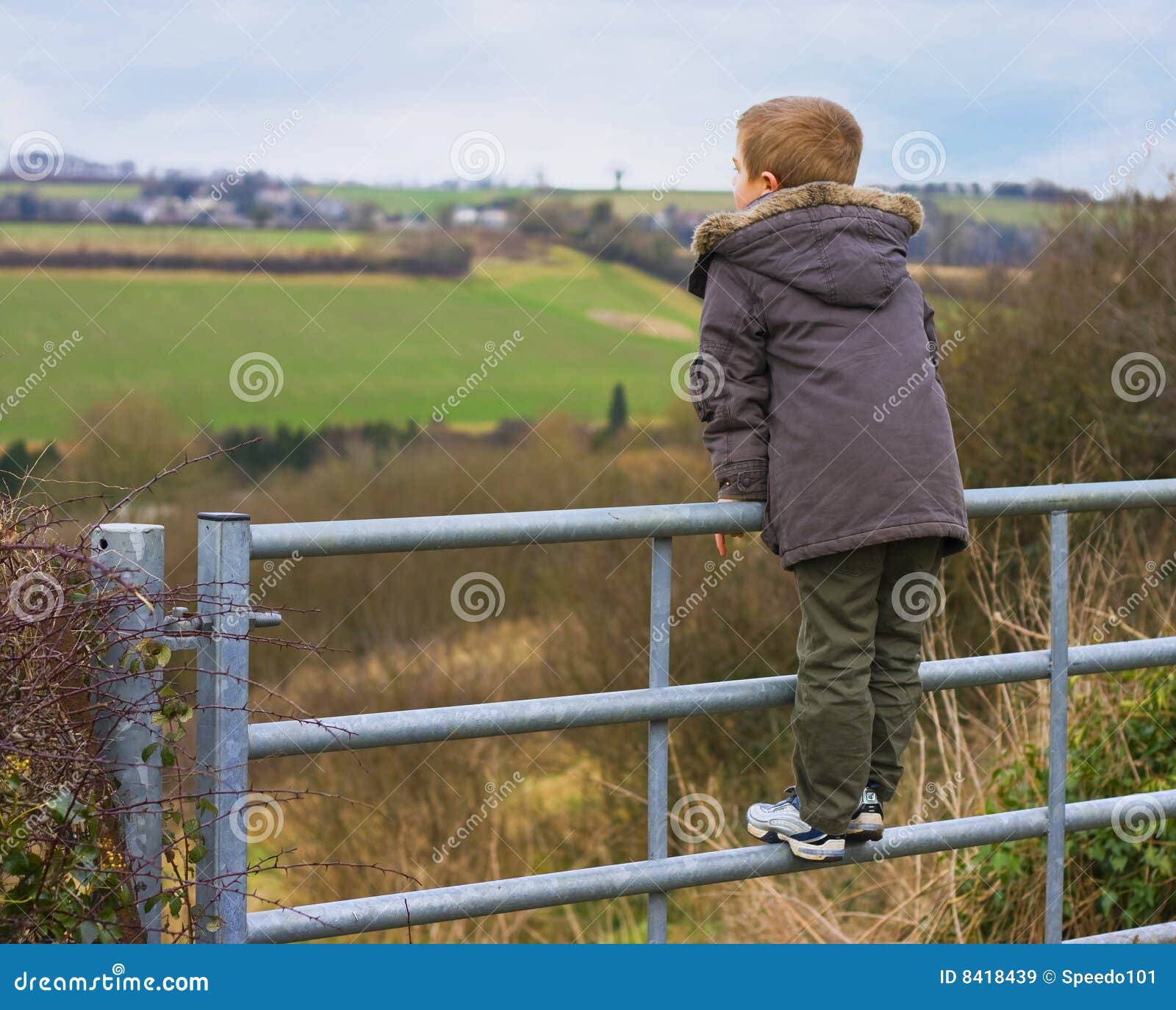 Boy on gate stock image. Image of outdoors, grass, meadow - 8418439