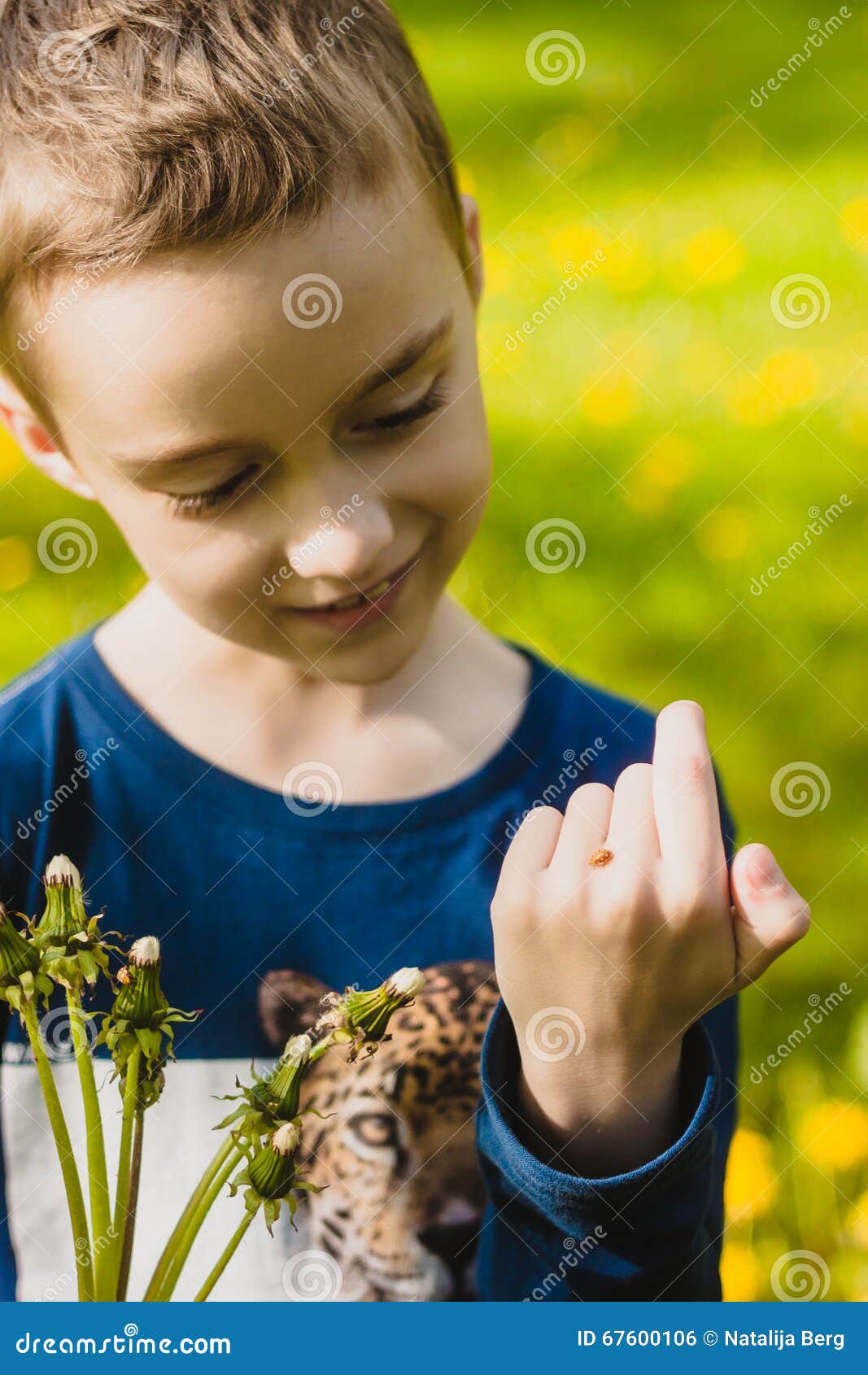 Boy gently holding ladybug stock photo. Image of face - 67600106
