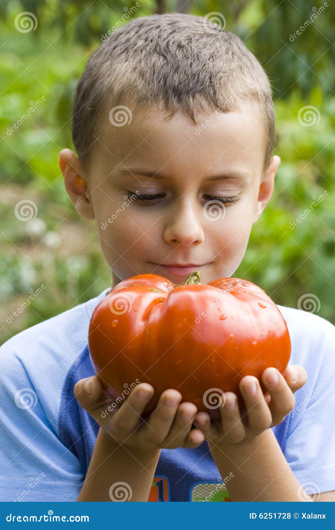 Boy with giant tomato stock photo. Image of portrait, kids - 6251728