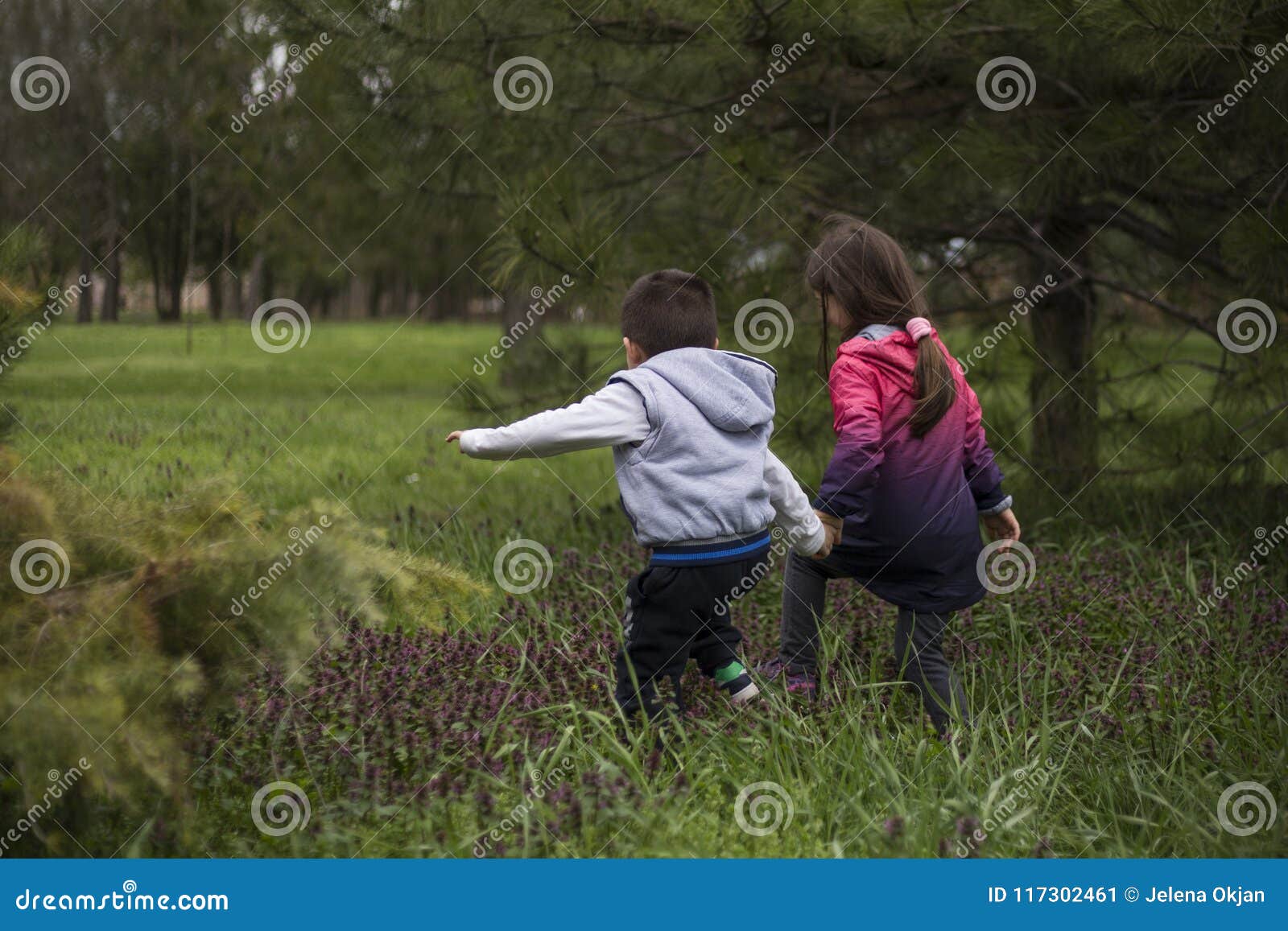 Boy and Girl Having Fun, Exploring Nature Stock Image - Image of ...