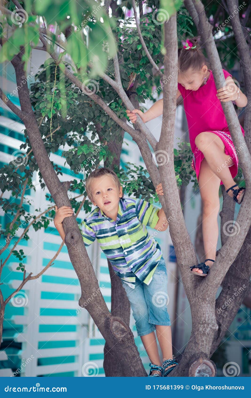 Kids having fun in a tree stock image. Image of climb - 175681399