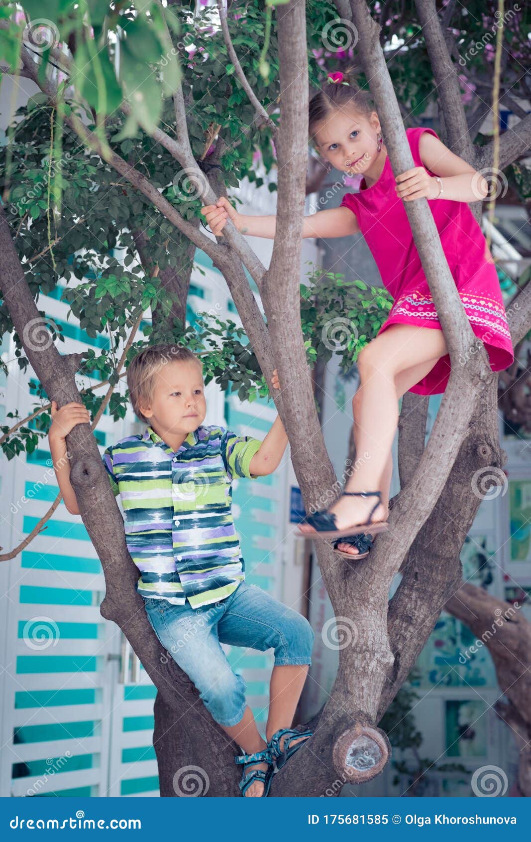 Kids having fun in a tree stock image. Image of face - 175681585