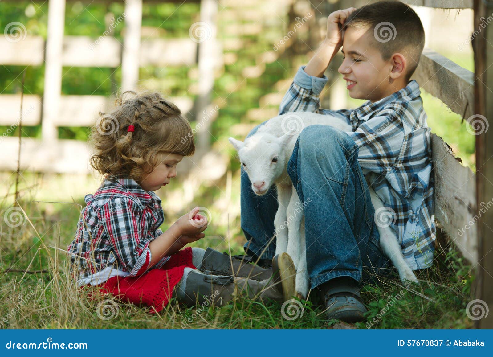 Boy and Girl with Lamb on the Farm Stock Image - Image of green ...