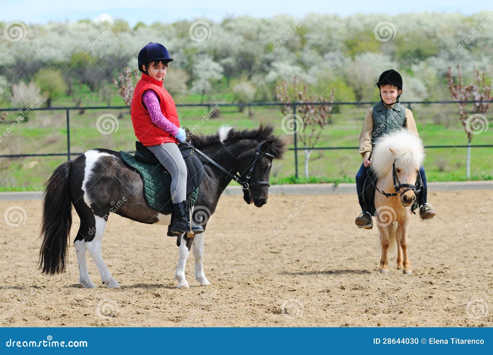 Boy and girl riding ponies stock photo. Image of female - 28644030