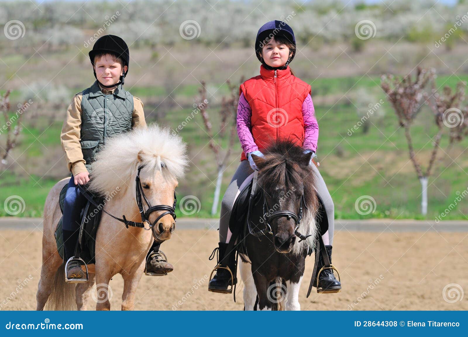 Boy and girl riding ponies stock photo. Image of male - 28644308