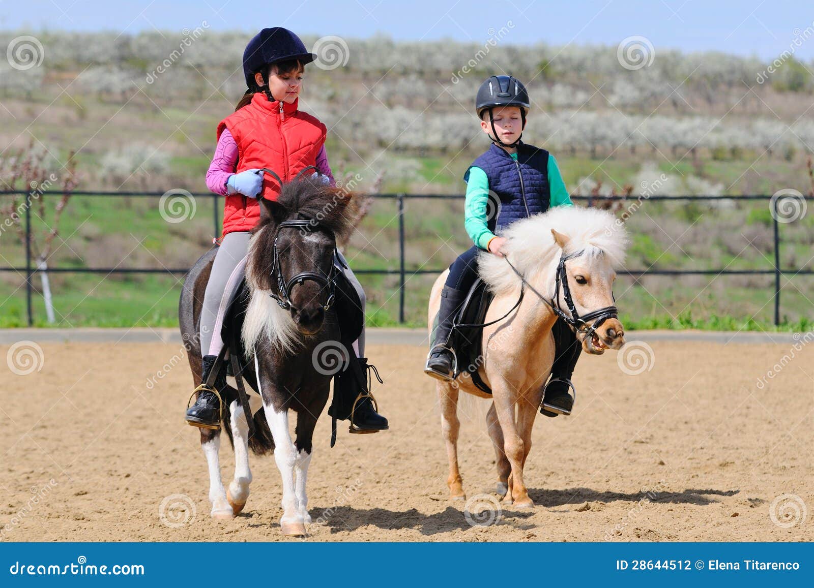 Boy and girl riding ponies stock photo. Image of activity - 28644512
