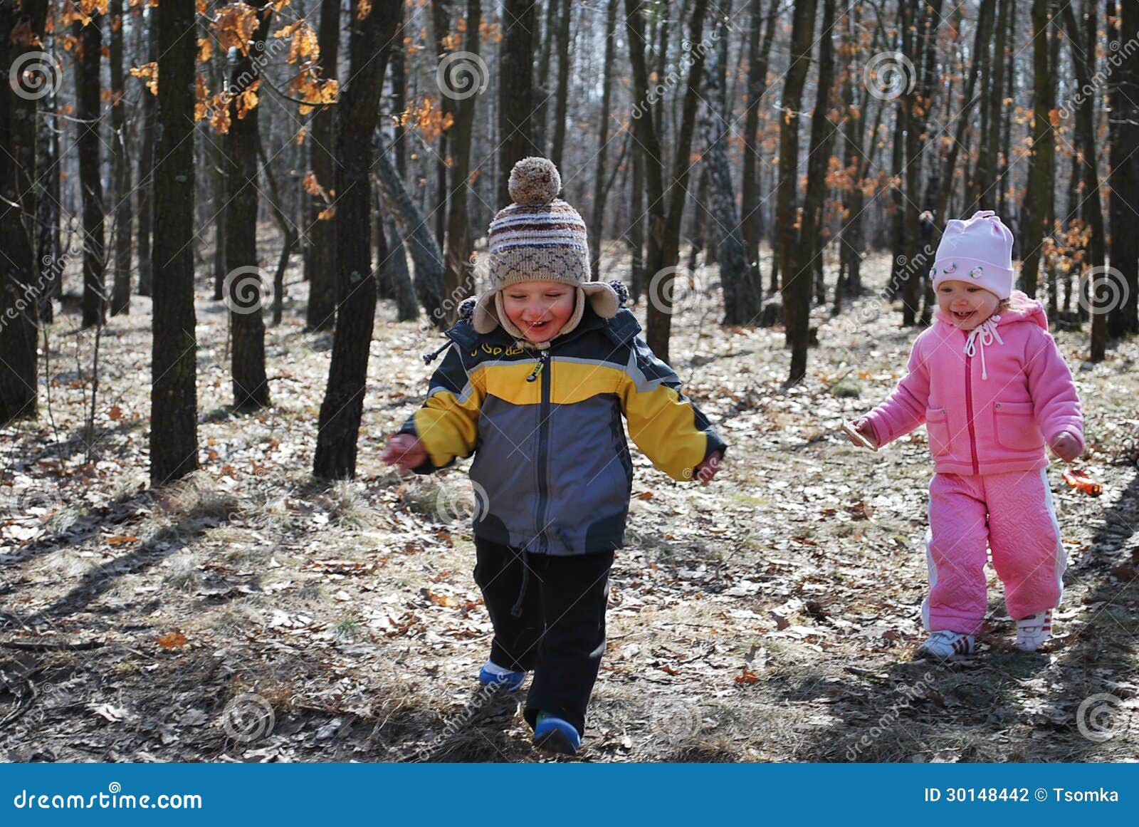 Friendship stock photo. Image of forest, girls, carefree - 30148442