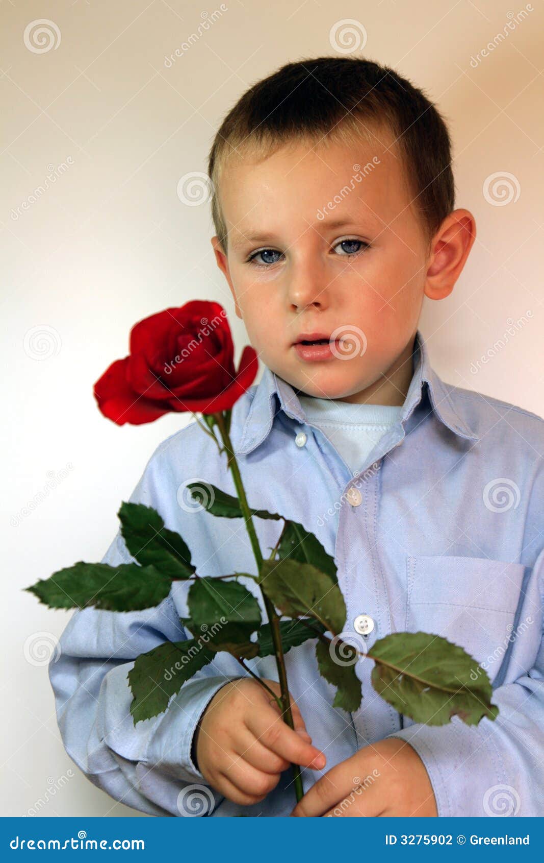 Boy giving flowers stock photo. Image of face, child, expression - 3275902