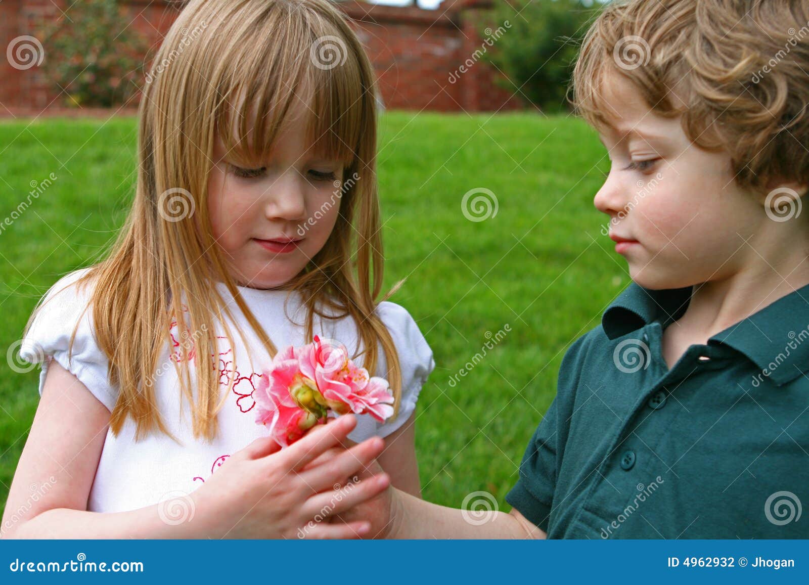 A boy giving flowers stock photo. Image of enjoy, male - 4962932