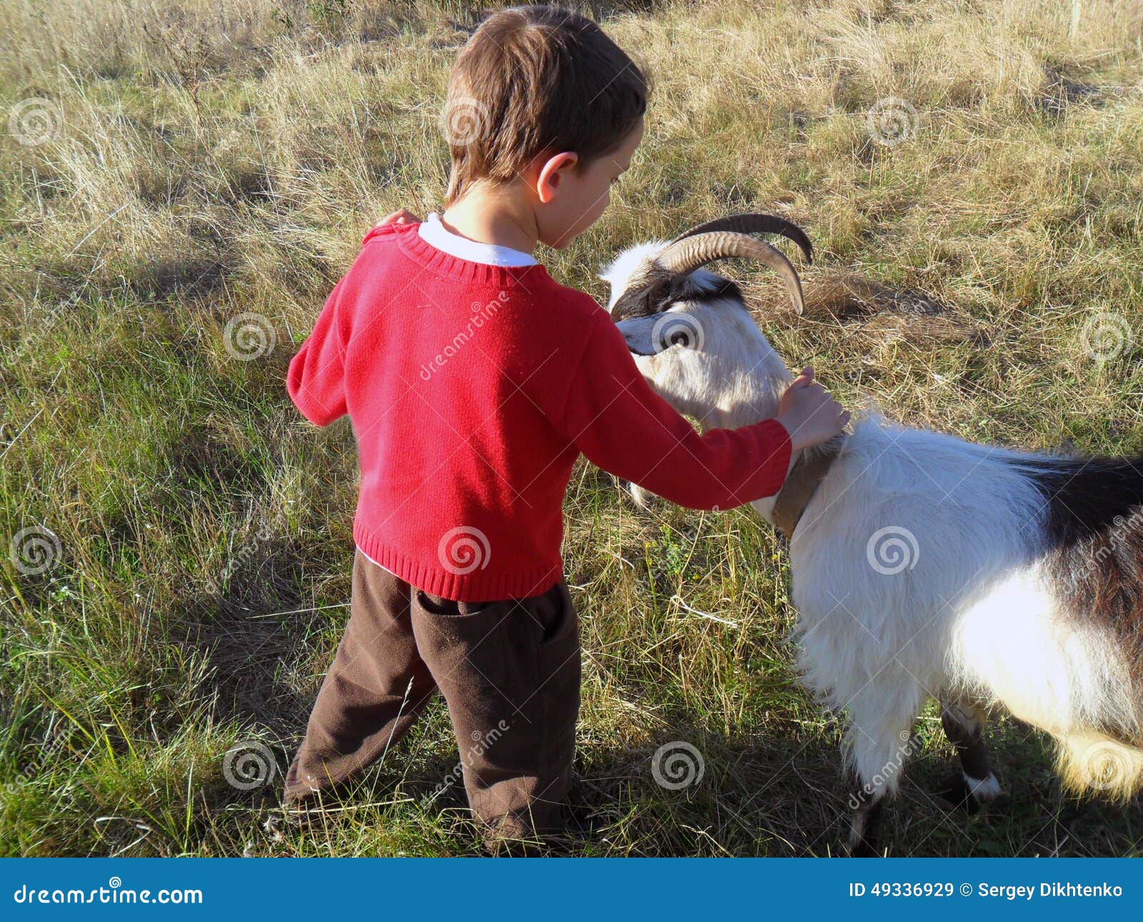 Boy and goat stock image. Image of animals, farm, autumn - 49336929
