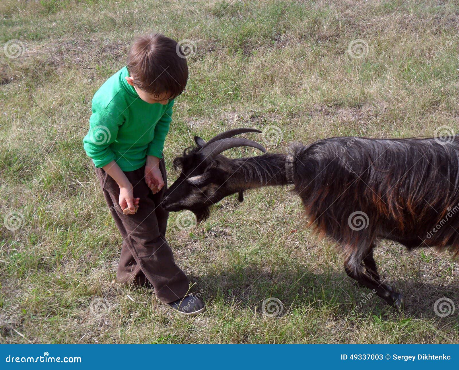 Boy and goat stock image. Image of autumn, mammals, caring - 49337003