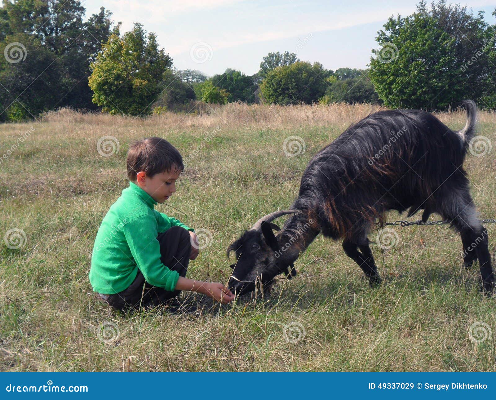Boy and goat stock image. Image of mammals, caring, farm - 49337029