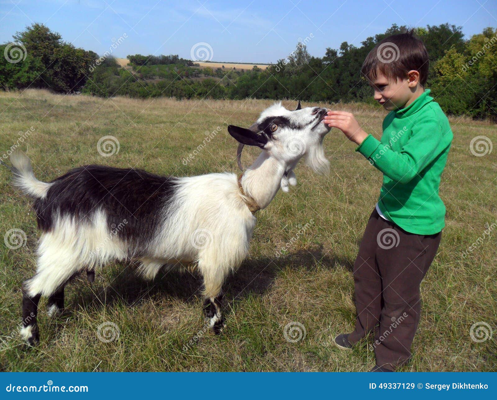 Boy and goat stock image. Image of field, farm, mammals - 49337129