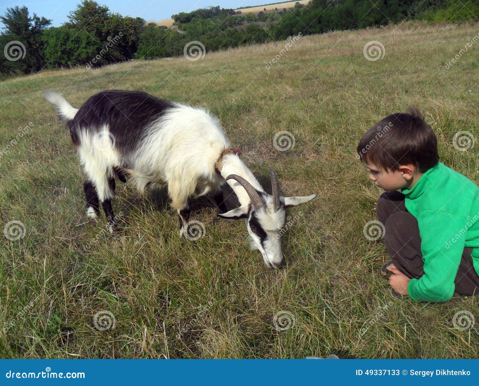 Boy and goat stock image. Image of mammals, caring, friendship - 49337133