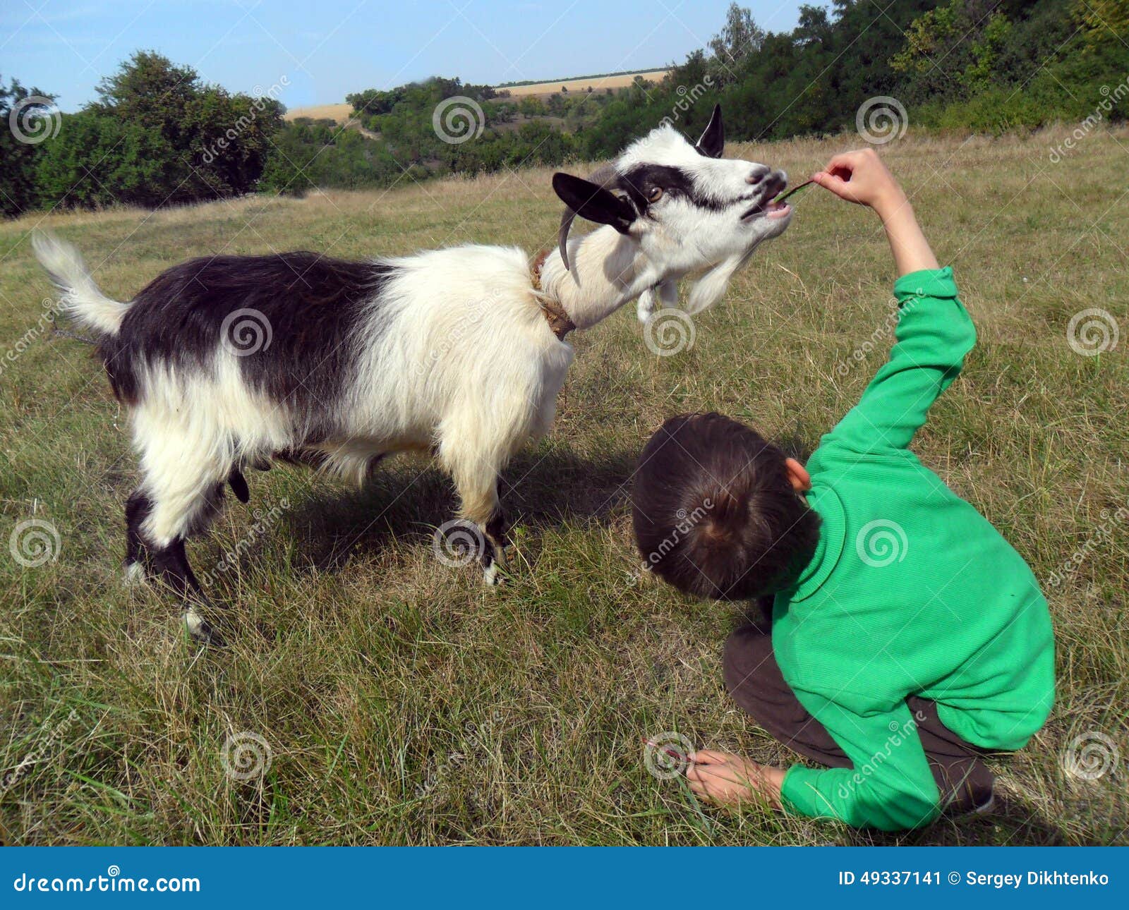 Boy and goat stock image. Image of autumn, farm, friendship - 49337141