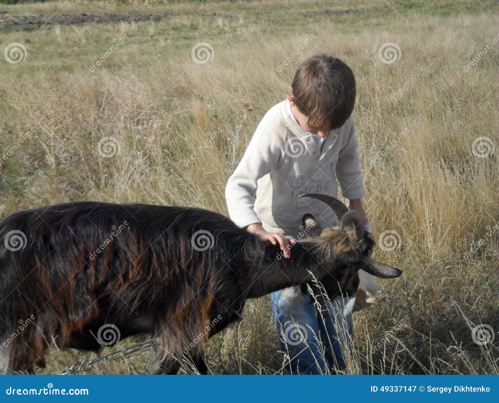 Boy and goat stock image. Image of ukraine, caring, animals - 49337147