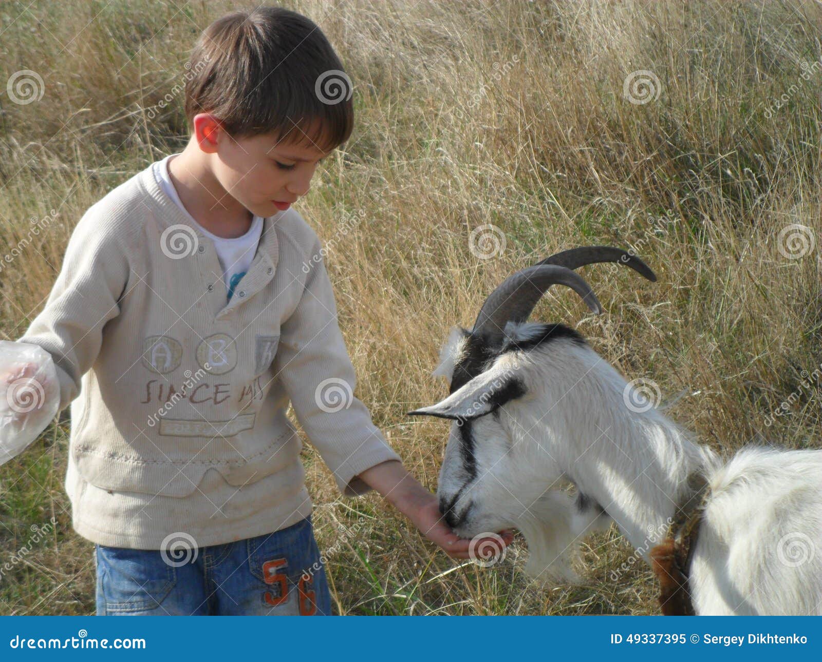 Boy and goat stock image. Image of caring, goat, ukraine - 49337395