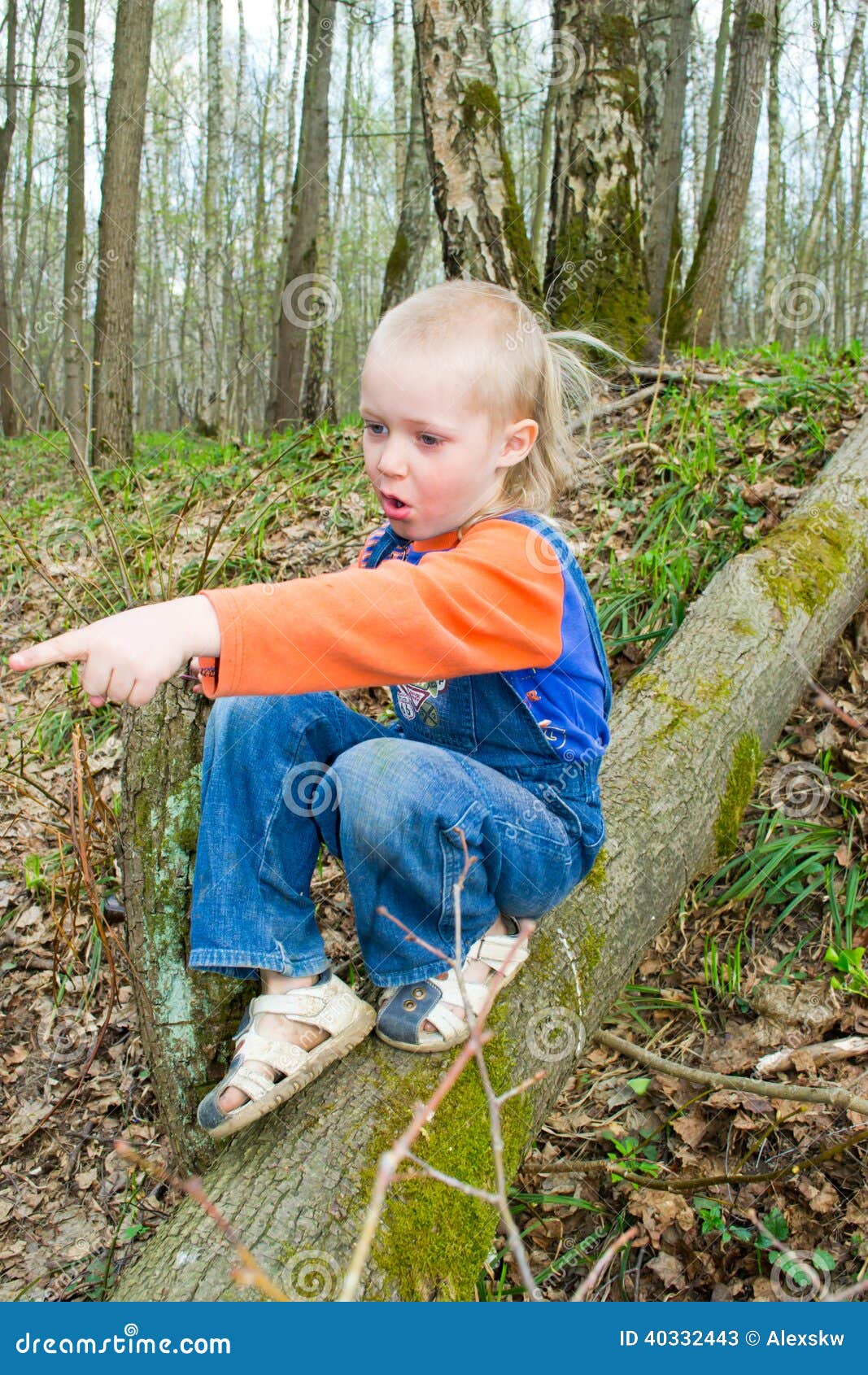 Boy goes on a log stock image. Image of behold, landscape - 40332443