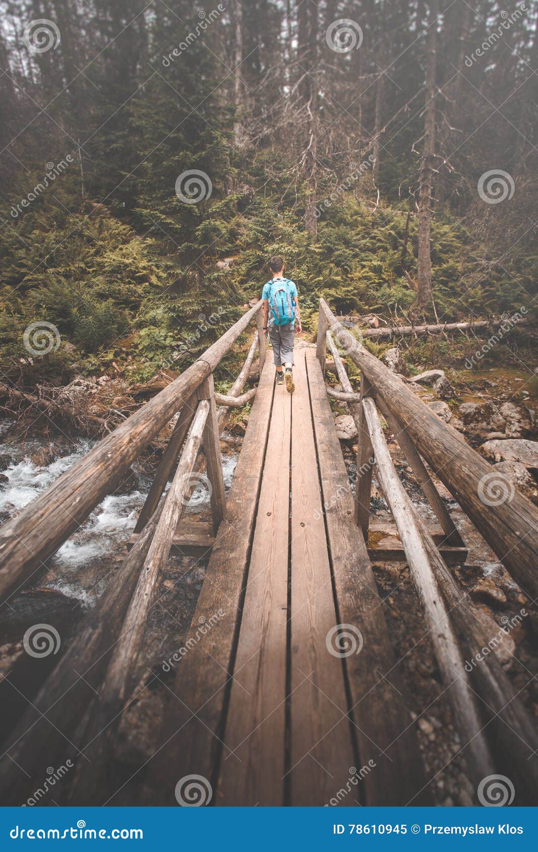 Boy going over bridge stock image. Image of river, nature - 78610945