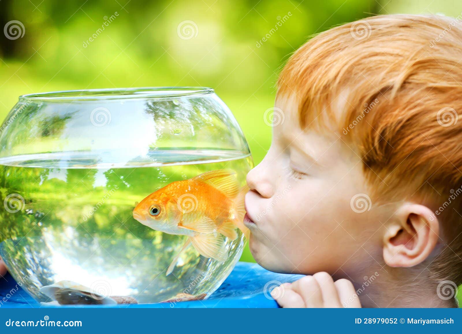 Boy with goldfish stock photo. Image of family, nature - 28979052