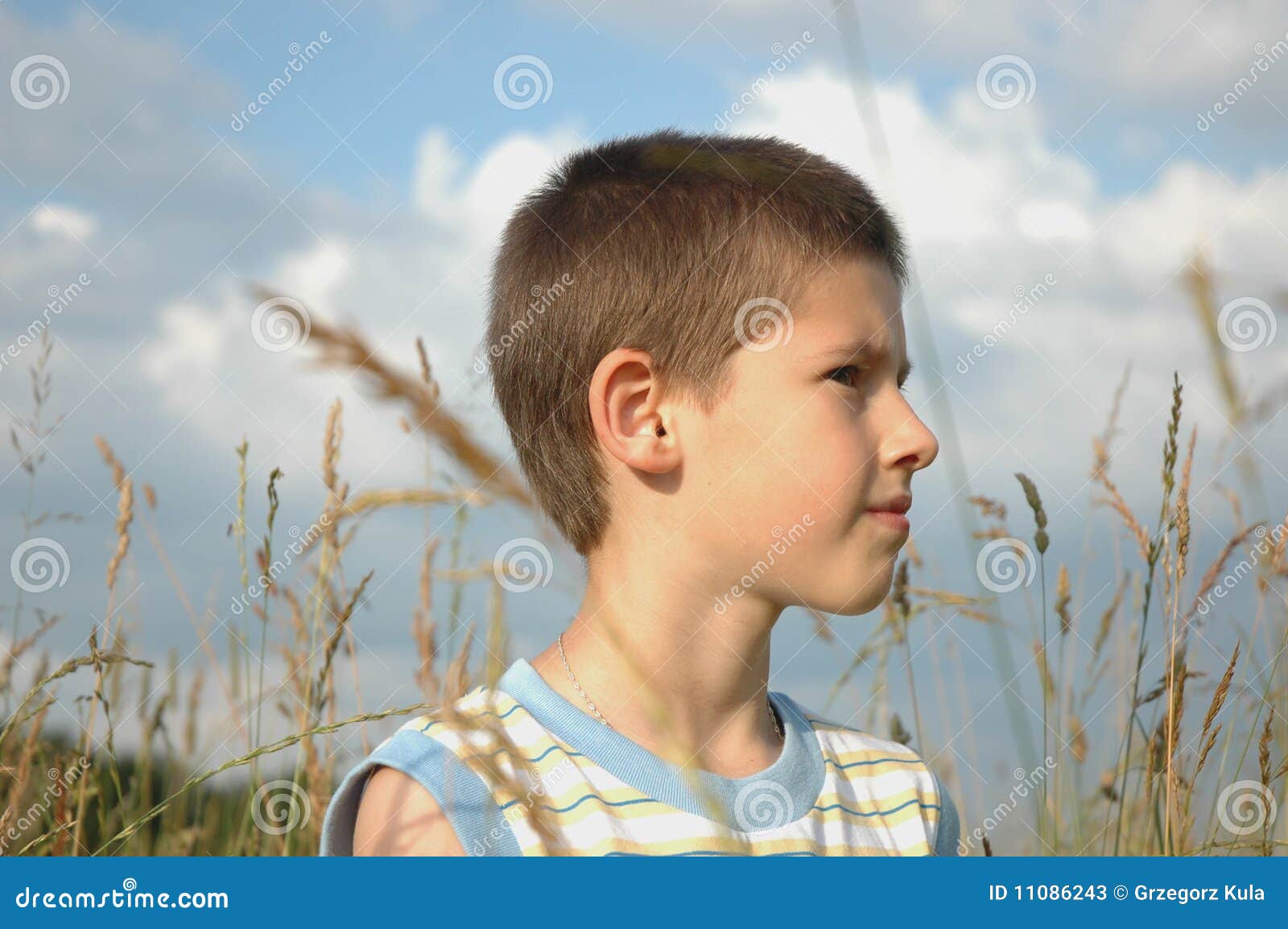 Boy in the grass stock image. Image of young, field, cloud - 11086243