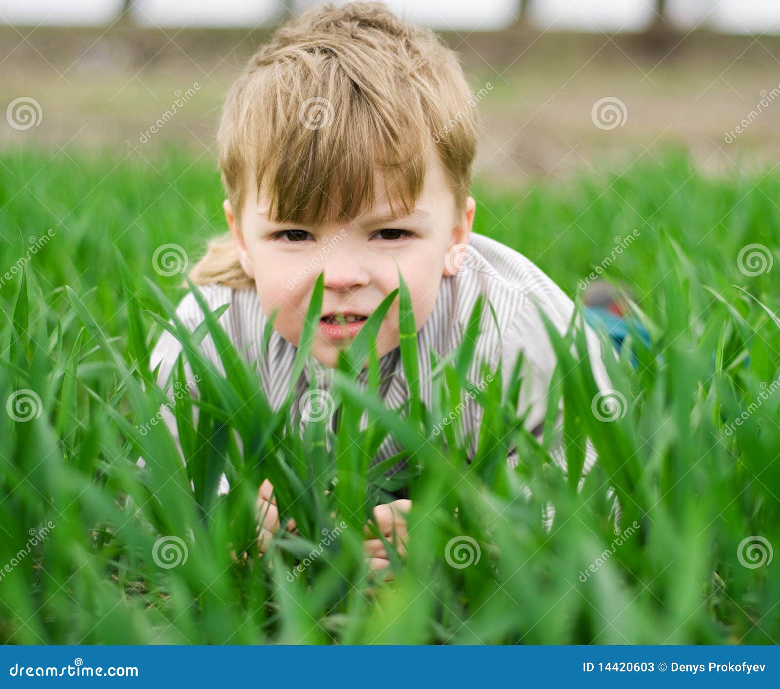 Boy in grass stock image. Image of childhood, nature - 14420603