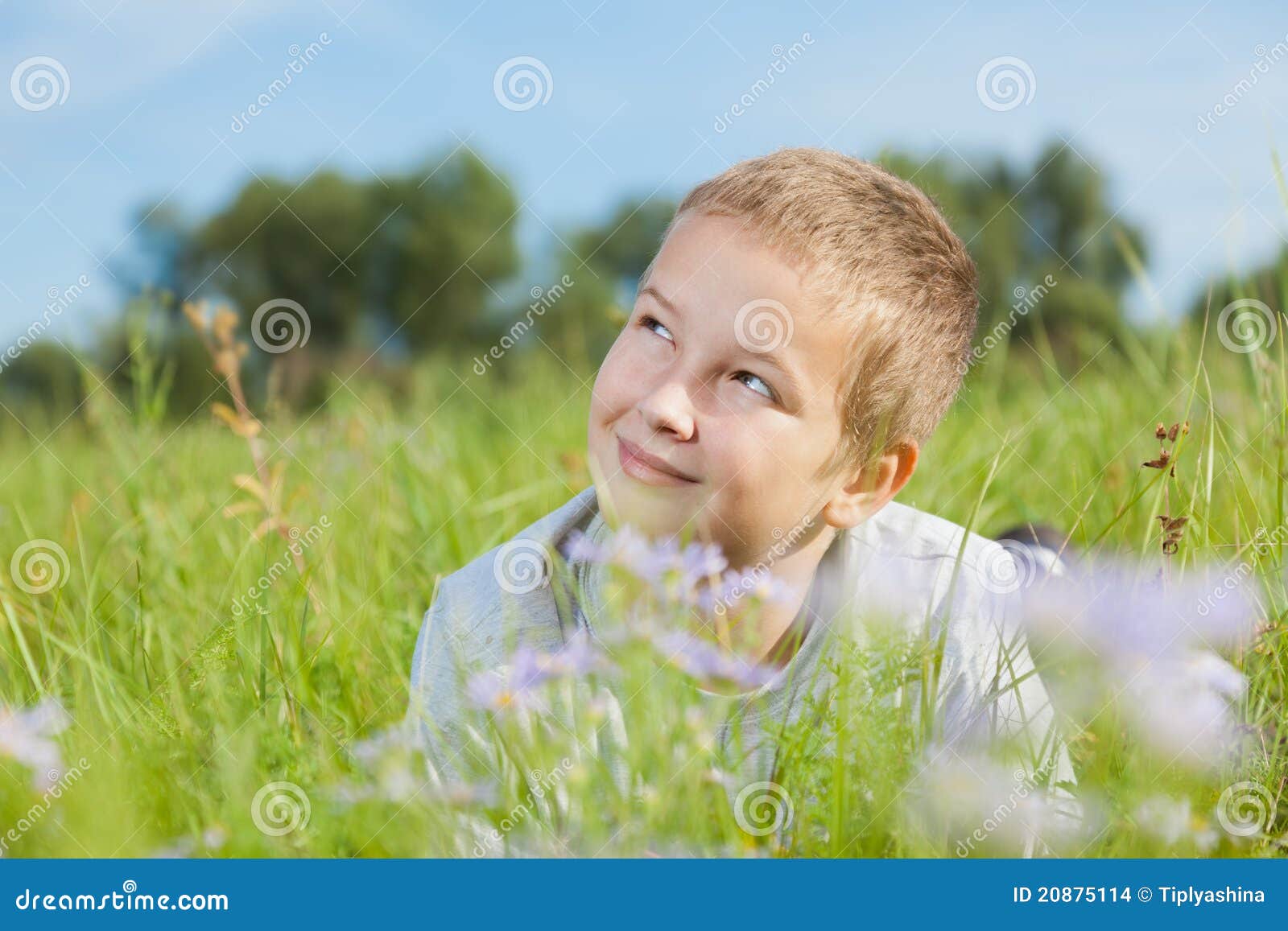 Boy in grass stock photo. Image of people, park, natural - 20875114