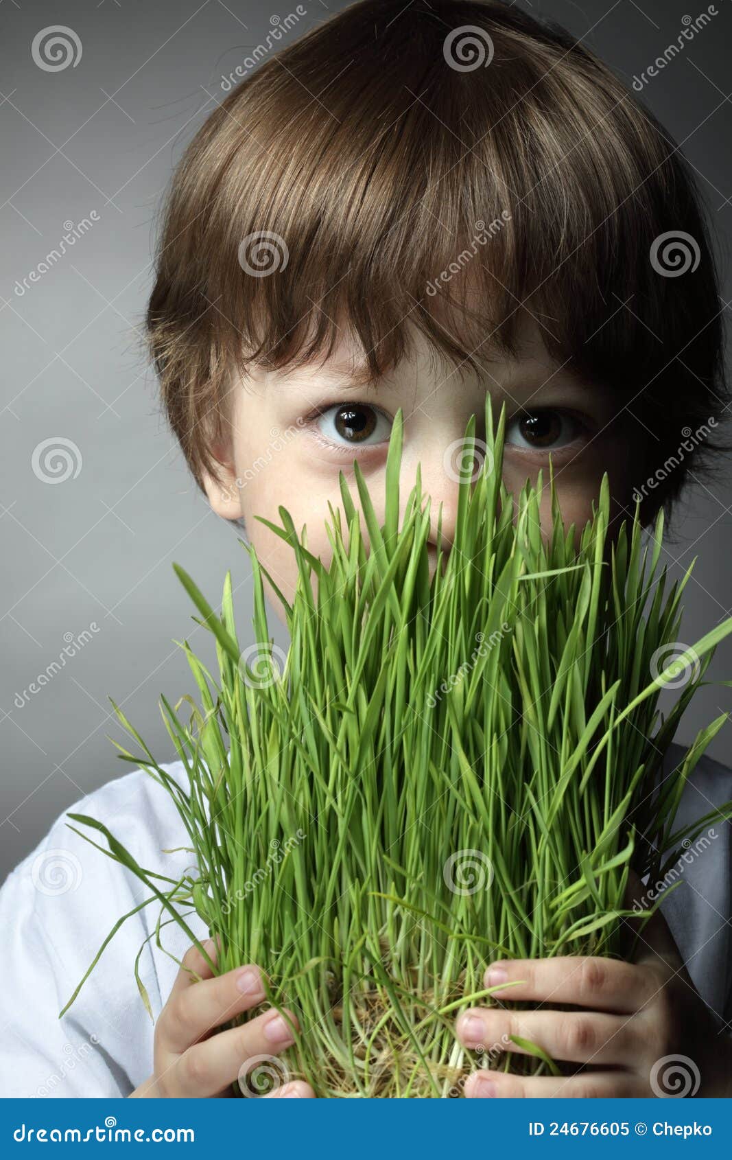 Boy with grass stock image. Image of macro, child, studio - 24676605