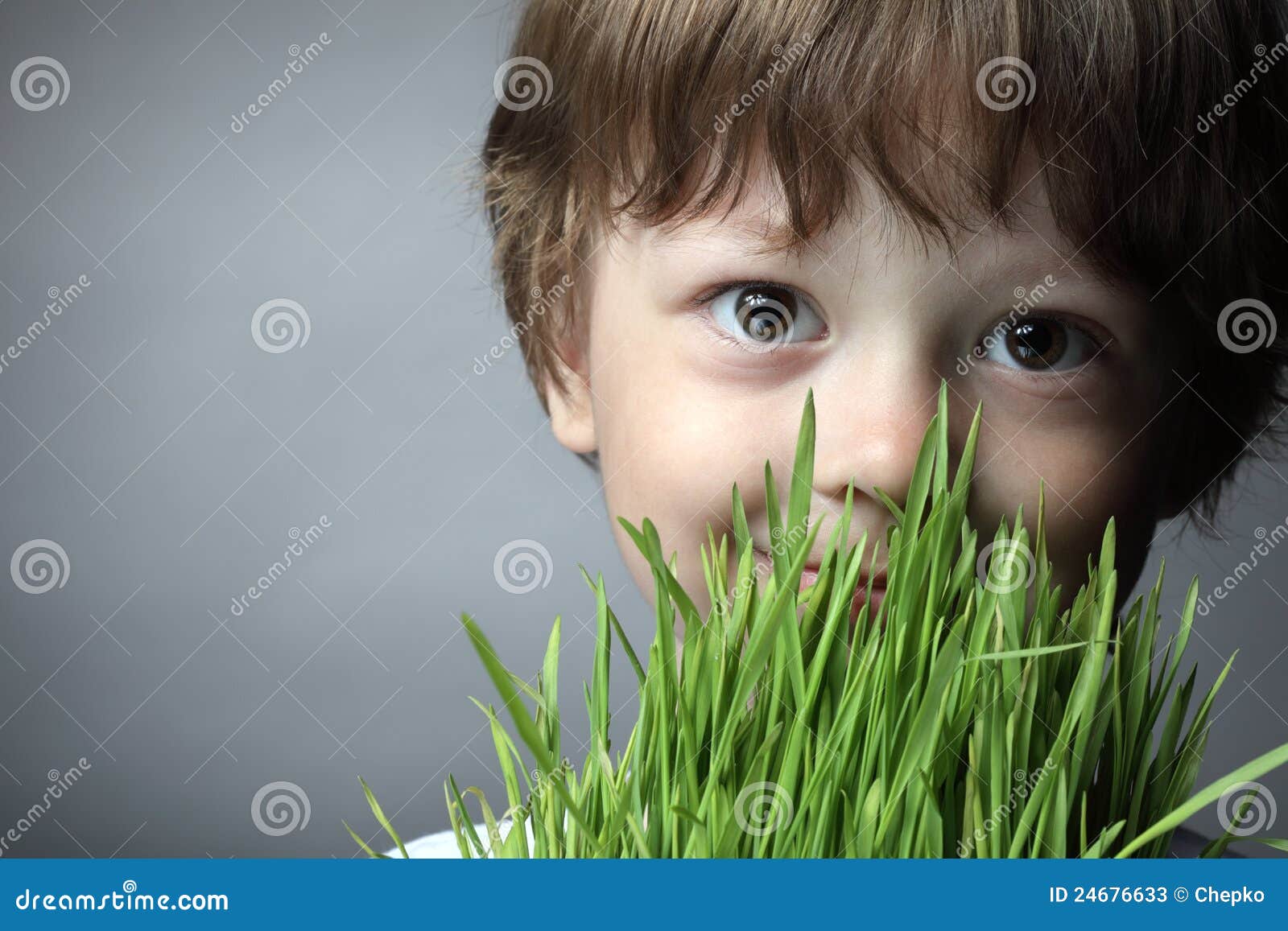 Boy with grass stock image. Image of studio, lawn, growth - 24676633
