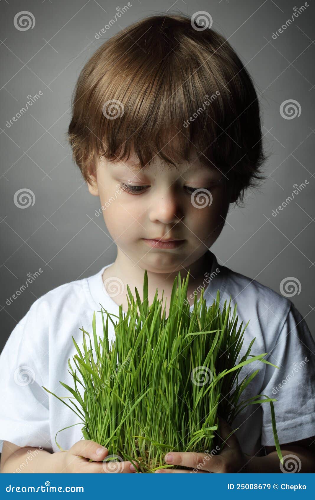 Boy with grass stock image. Image of little, human, summer - 25008679