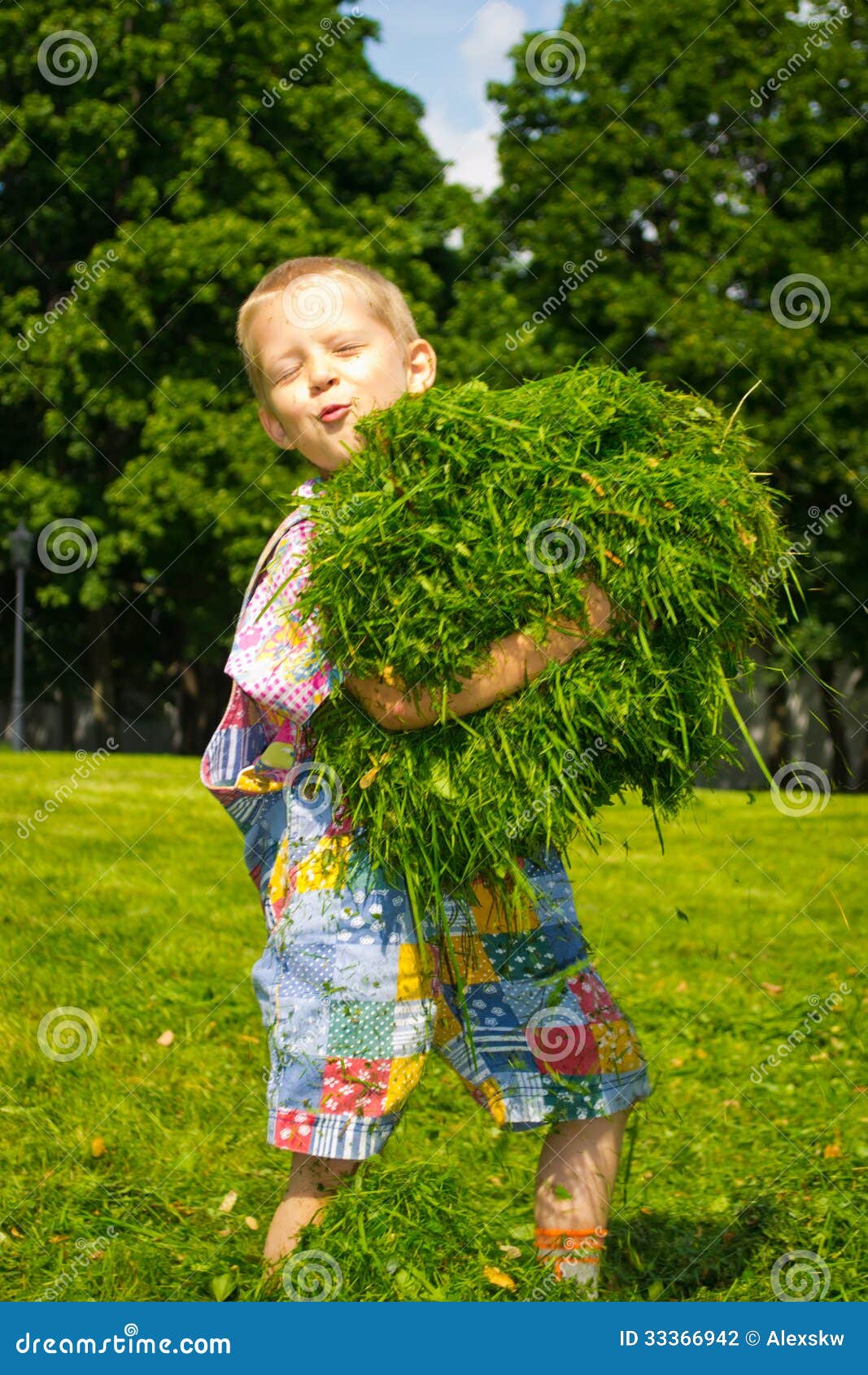 Boy in the grass stock photo. Image of haystack, countryside - 33366942