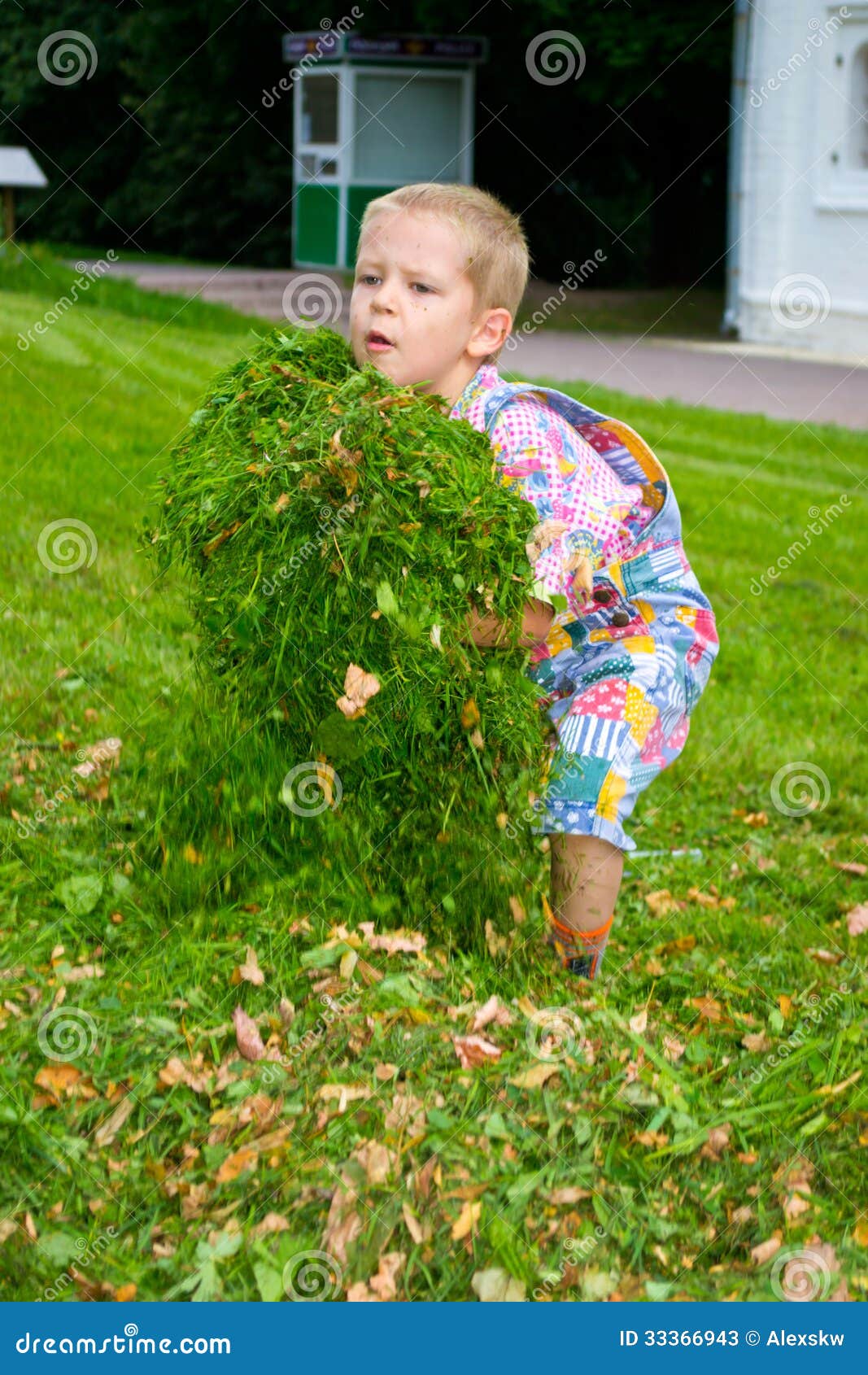 Boy in the grass stock image. Image of armful, blond - 33366943