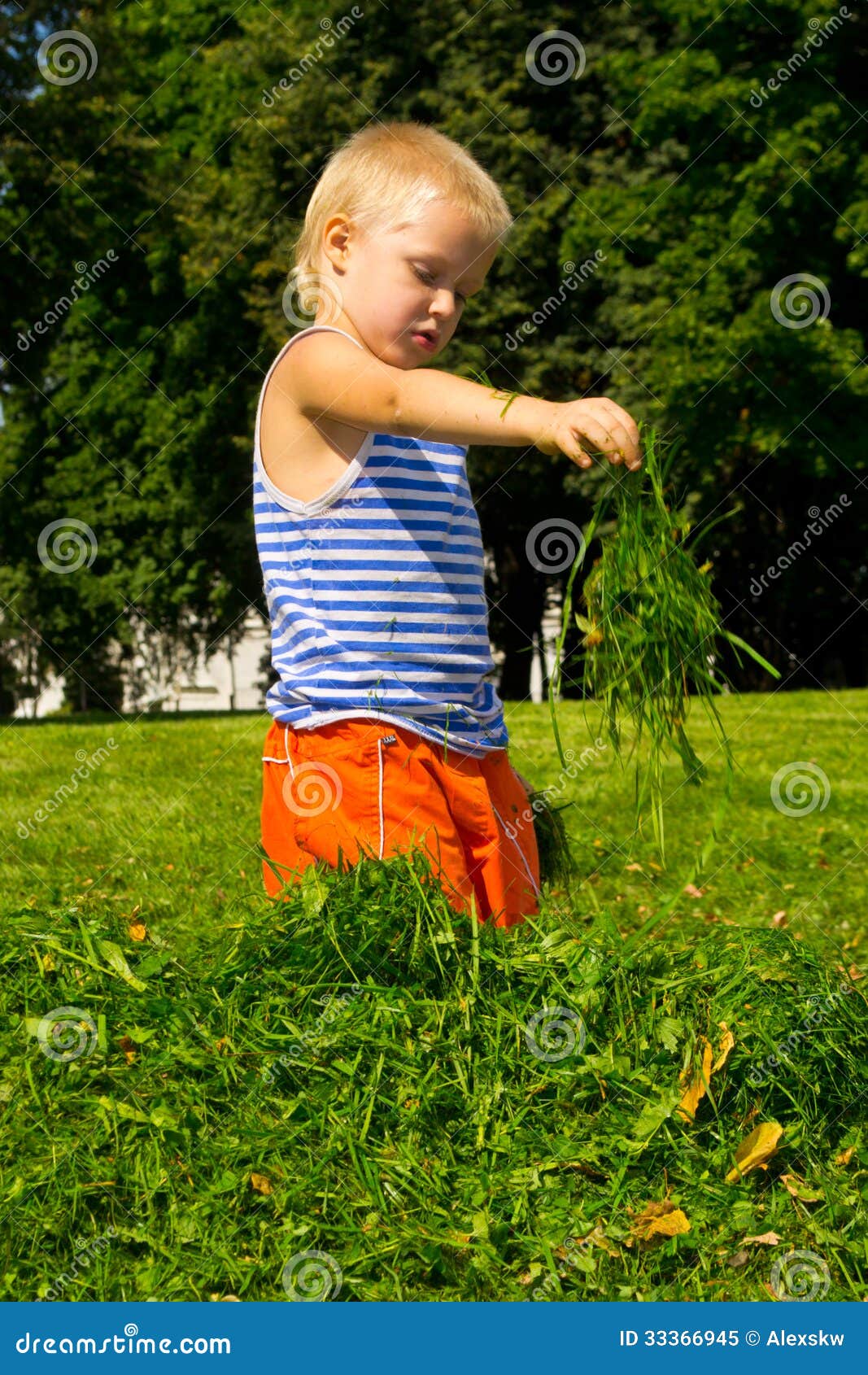Boy in the grass stock image. Image of agriculture, child - 33366945