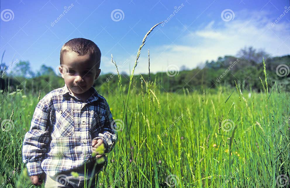 Boy in grass field stock image. Image of standing, looking - 4783559